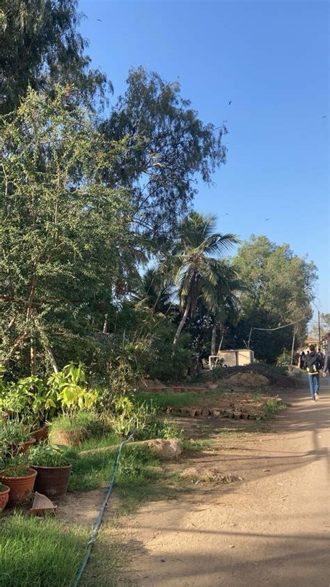 Rahim Ali On Linkedin Governorsitinitiative Typescript