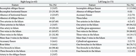 the variations seen in the right and left lungs download table