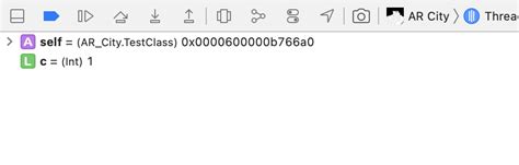 Swift Xcode Debugger Doesn T Show Class Wide Variables Stack Overflow