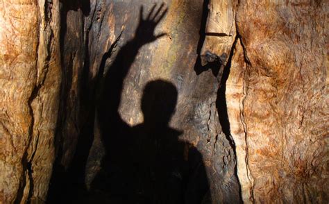 Életmódváltó Mentor Program Bharata Közösség