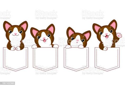 Ensemble Mignon De Poche Danimaux De Dessin Animé Vecteurs Libres De