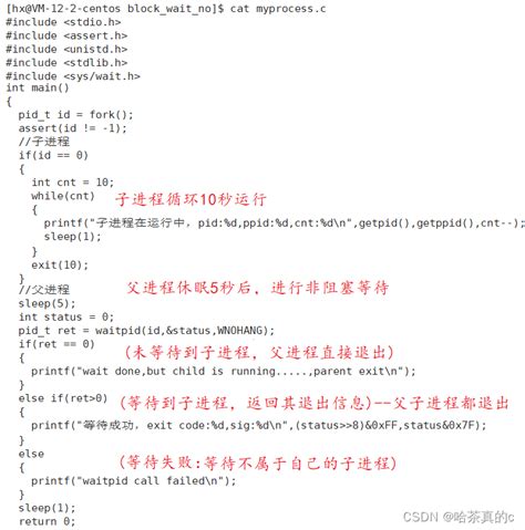 【linux】11 进程控制 操作系统实验linux进程控制 csdn博客