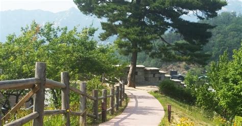나무 그늘이 우거져 상쾌하게 걷기 좋은 숲길 10선
