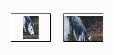 Use Of Max Width In Fluid Or Responsive Web Design User Experience Stack Exchange