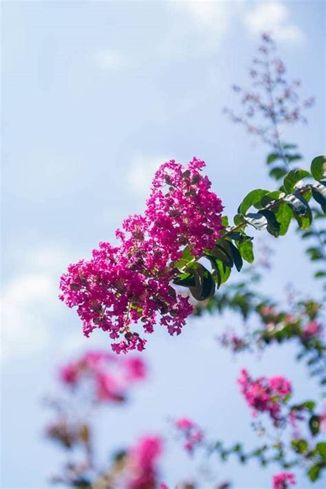 꿈꾸는섬 사례와 트렌드 탐구