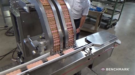 Star Wheel Custom Automatic Infeed Systems Benchmark