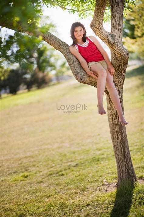 Girl Sitting On The Tree Picture And Hd Photos Free Download On Lovepik