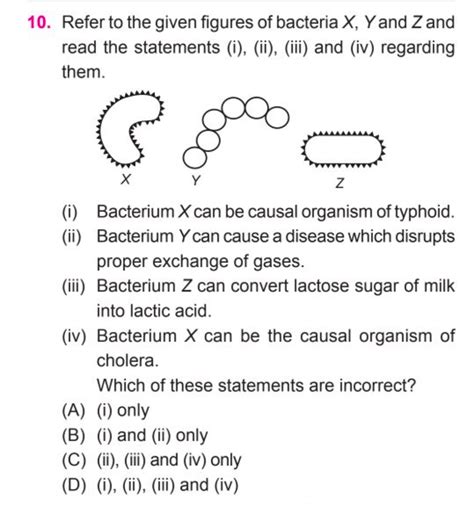 10 Refer To The Given Figures Of Bacteria X Y And Z And Read The Stateme