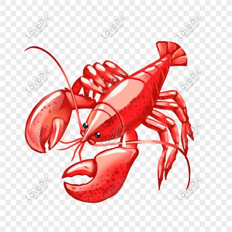 해산물 붉은 바다 가재 그림 Png 일러스트 무료 다운로드 Lovepik