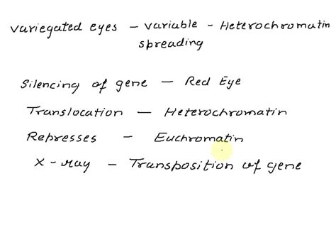 Solved In Drosophila Melanogaster X Ray Induced Mutation Resulted In