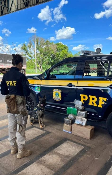 Em Menos De 12 Horas Prf Faz Duas Apreensões De Drogas Com O Auxílio
