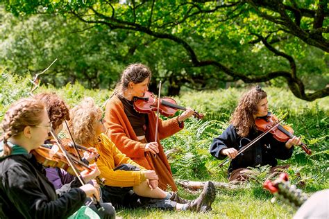 What Is A Fiddle By Emma Hardy The Fiddle Maker