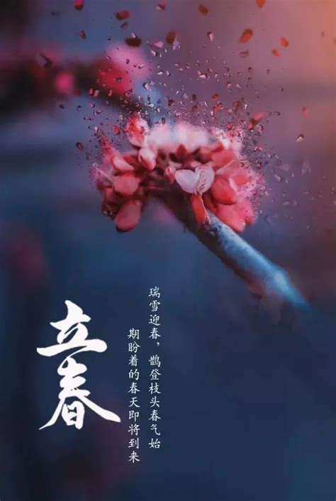 春到人间草木知2018婺源皖南油菜花什么时间开最佳行摄期