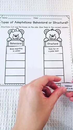 Behavioral And Structural Physical Adaptations Sort Cut And Paste