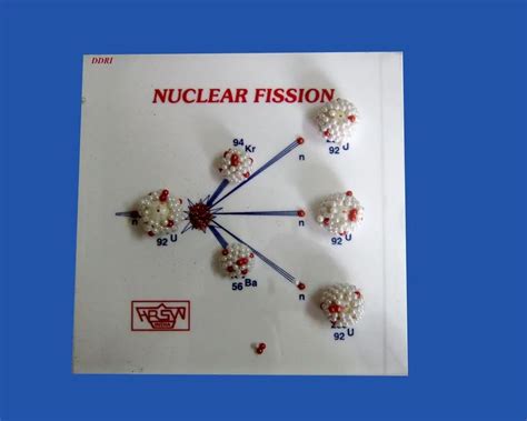 Nuclear Fission Model Copy Laboratory Equipment At ₹ 865piece Lab