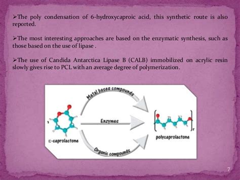 Polycaprolactone Pcl