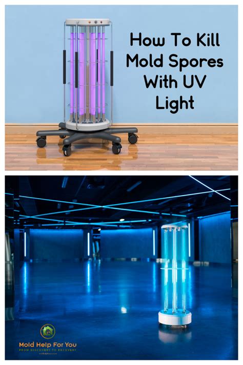 Does Uv Light Kill Mold