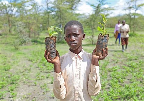 The Country That Declared A National Holiday To Plant 100 Million Trees