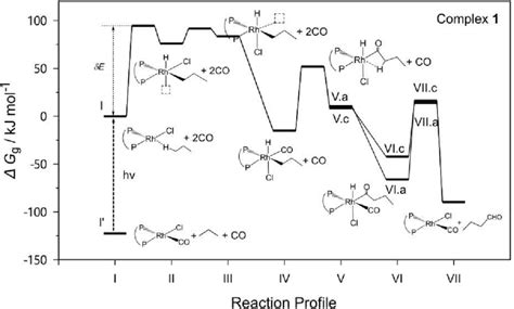 DFT Predicted Reaction Profile Of The Mechanism Shown Exemplarily For