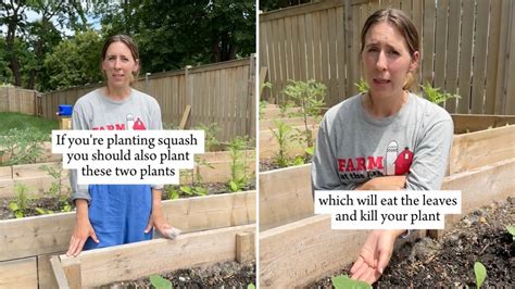 Garden Expert Shares Brilliant Hack To Keep Common Pests Off Plants The Bane Of My Existence