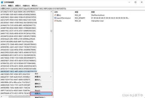 【操作系统 Windows】组件服务 Dcom 配置编辑安全属性immersive Shell Csdn博客