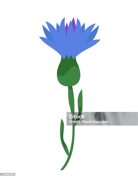 Bourgeon De Bleuet Dans Le Style Dessin Animé Vecteurs Libres De Droits
