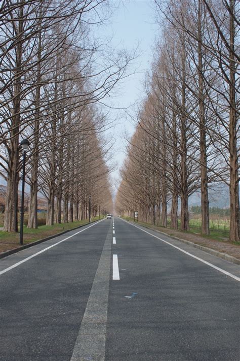 少しの我慢 GANREF