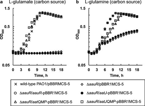 Genetic Complementation Experiments For The Δaaur Mutant Grown On Download Scientific Diagram