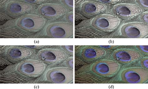 figure 2 from image enhancement for high resolution visual contents