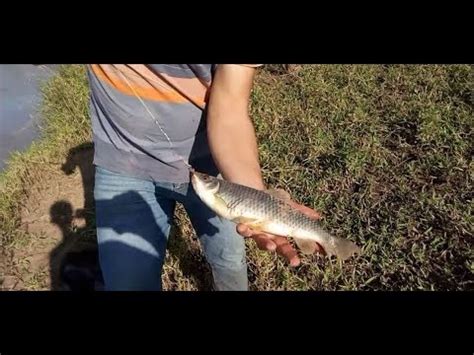 MUITA SURPRESA NA PESCARIA FOI PEIXE PARA TODO LADO YouTube