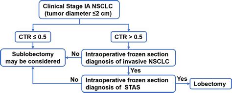 Suggested Surgical Procedure For Clinical Stage I Small Sized Nsclc Download Scientific Diagram