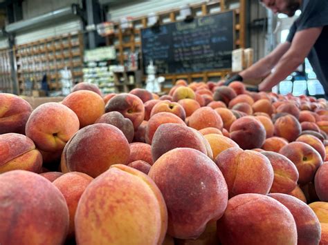 Rusty The Brave Just Popping In Quickly To Say That Rustys Eyes Are Just Fine We Will Go