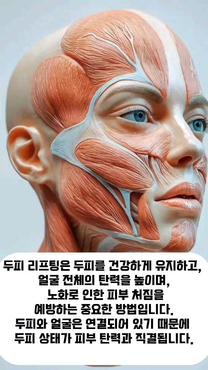 빈디 입술성형반영구과 빈디연구소빈디 세상엔 두 종류의 남자가 있습니다 바람피는 남자 그리고 그 사실을 들키는 남자