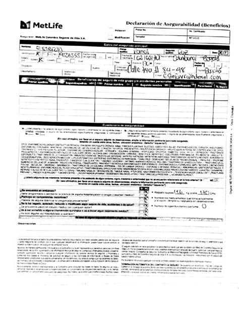 Metlife Pdf