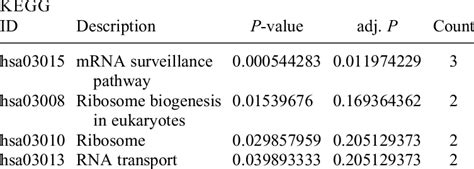 Kegg Pathway Enrichment Analysis Of Differential Expres Sion Rbps