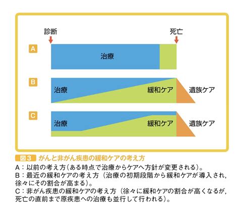 【心不全の緩和ケアacp】 異端児ナース真鍋哲子