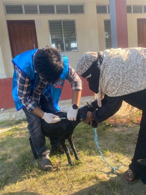 Dipesh Aryal On Linkedin Communityservice Preventppr