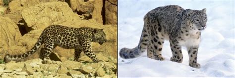 Understanding And Visualizing Neural Networks In Python