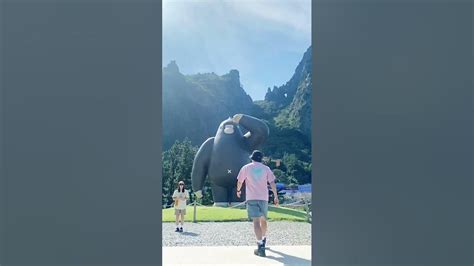 우리나라에 이렇게 멋진곳이 백팩킹 울릉도백패킹 가을여행 Youtube