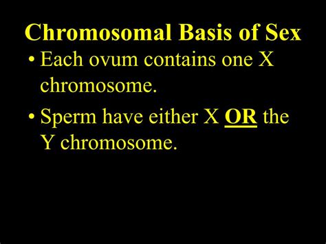Ppt Sex Chromosomes And Nondisjunction Diseases Powerpoint
