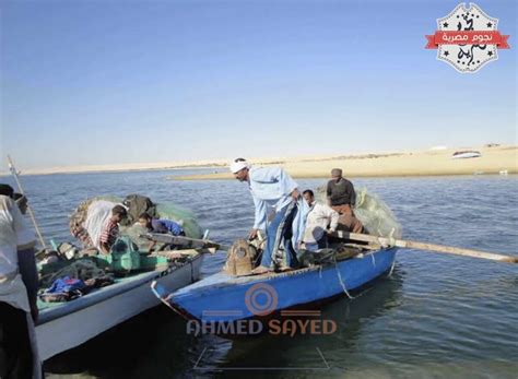 نجوم مصرية محافظ الفيوم تحسن ملحوظ في مياه بحيرة قارون يعزز نمو