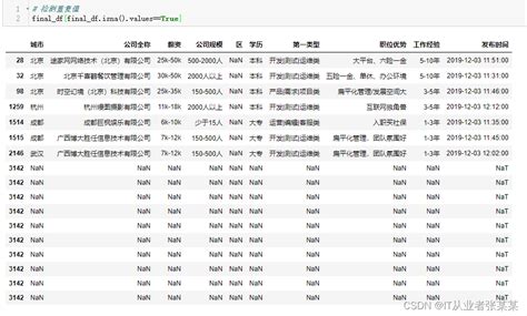 数据导入与预处理 第8章 实战演练 数据分析师岗位分析（上） 阿里云开发者社区