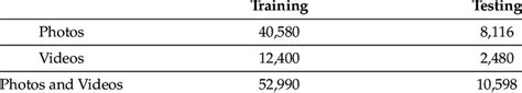 Composition Of The Training And Testing Datasets Download Scientific