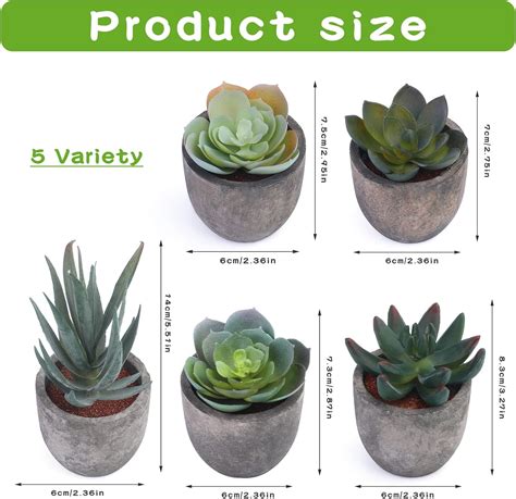 Iuuidu 5 Plantas Suculentas Artificiales En Maceta Plantas Falsas De