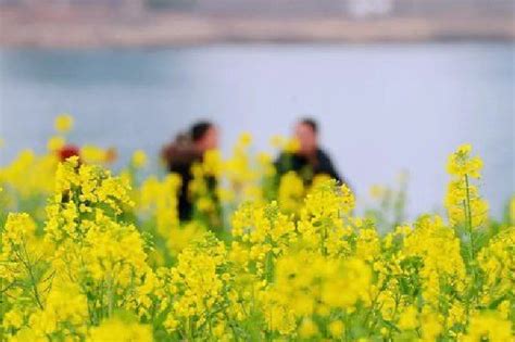 新浪江西首页江西第一门户网站新浪网