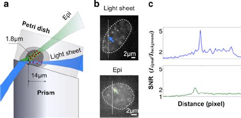 Light Sheet Illumination Provides Enhanced Snr For Single Molecule