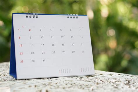 데스크톱 달력 나무 사무실 책상에 2019 장소 시간표 의제 약속 조직 테이블에 각 날짜 월 및 년 관리를 만들기 위해 플래너를