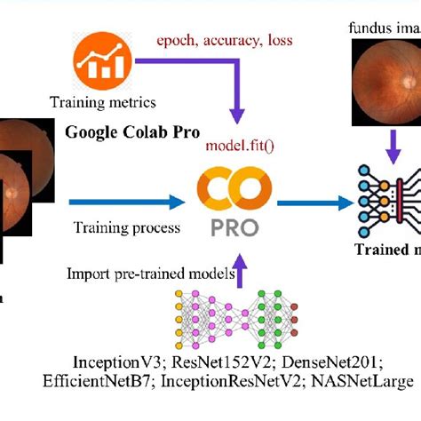 Confusion Matrix Of 2 Class Amd Classification Of Efficientnetb7 Download Scientific Diagram