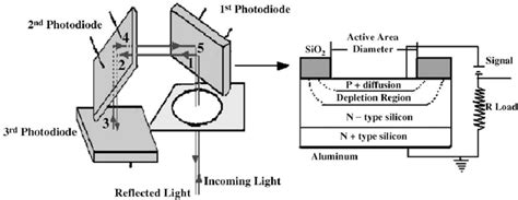 Internal Structure Of Trap Detector And Photodiode Download Scientific Diagram
