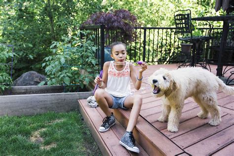 Girl Blows Dog Telegraph